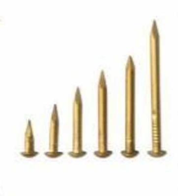 China Brass Decorative Furniture Sofa Nails With Cap Head And Smooth Shank Standard DIN for sale