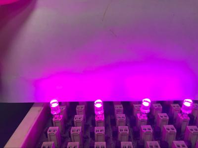 China High power top quality 1W 5mm Concave Super Pink LED Diodes in Car Light for sale