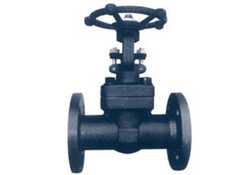 China Z41Y H-25/40/64/100/160 Grade Forging Steel Gate Valve for sale