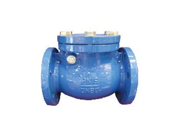 China DIN Swing Check Valve for sale