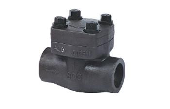 China Female Thread and Socket Welded Check Valve for sale