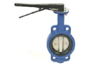 China Wafer and Lug Type Butterfly Valve With Pin for sale