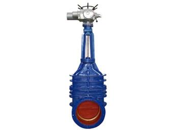 China Cast Iron Gate Valve Z941T/W/H-10/10Q Motorized Cuniform Gate Valve for sale