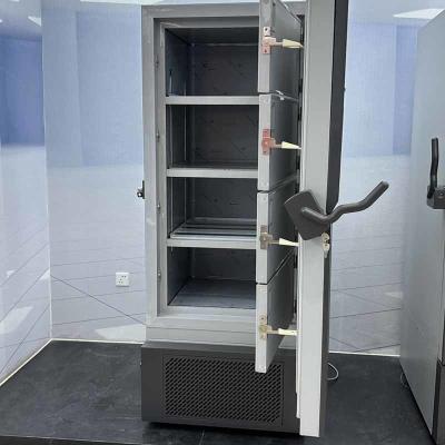 Cina MD-86L568BS Freezer a temperatura super bassa verticale 568L con LED personalizzato in vendita