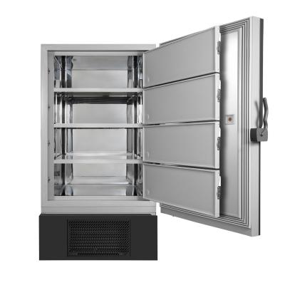 Cina MD-30L850B -30°C 304 Acciaio inossidabile Ospedale Biomedico Congelatore Con Display Digitale LED in vendita