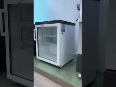 MC-5L42 Frigorífico de Farmácia Personalizado de 42L Com Display Digital / Controle de Microcomputador