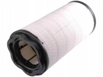 Cina Filtro d'aria standard P958974 per motore industriale 2341657 in vendita