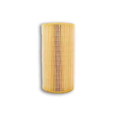 Cina Elemento filtro del carburante S0007280 02 652045686 022030ps RK022042ps Supporta la personalizzazione in vendita