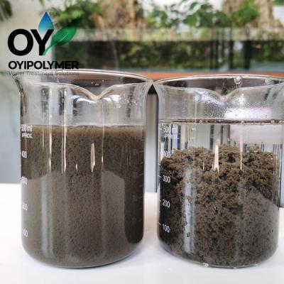 China Marble Cutting Purification Flocculant High Molecular Weight Anionic Polyacrylamide Grade AA6518 for sale
