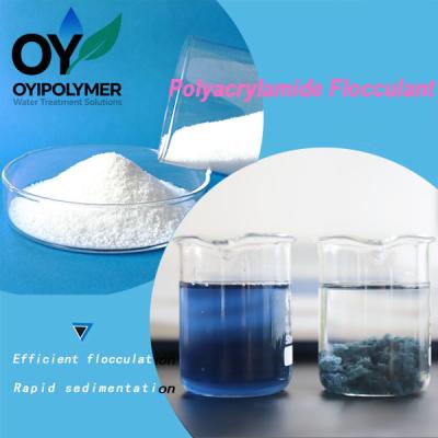 China Flocculant Polymer Powder Anionic Polyacrylamide Raw Water Treatment Chemicals for sale