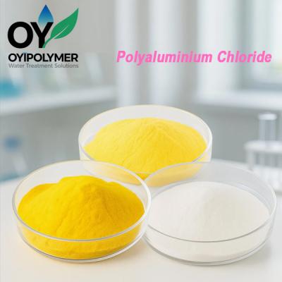 China Specification of Polyaluminium Chloride PAC for Industry Water Treatment for sale