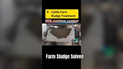 Cattle Farm Sludge Treatment OYIFLOC PAM