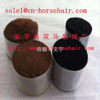 China horse body hair for sale