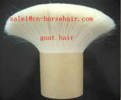 China goat  hair for sale