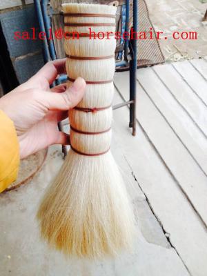 China horse root  tail hair for sale