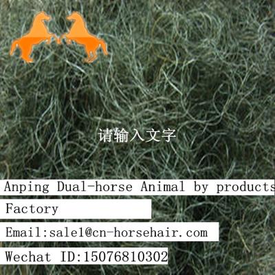 China Green curled  horsehair for sale