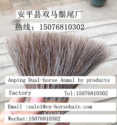 China white and brown and balck and mixed horse root tail   hair  from 51mm for sale