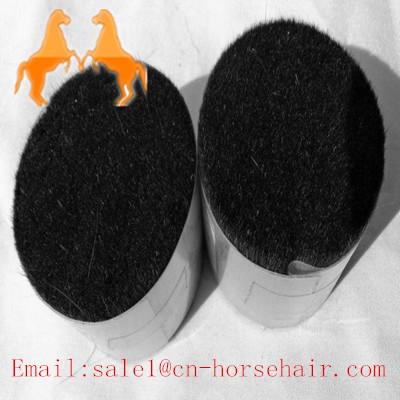 China black and white and brown  horse body hair from 25 mm for sale