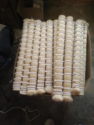 China rock  horse tail hair  and  fiddle  bow hair for sale