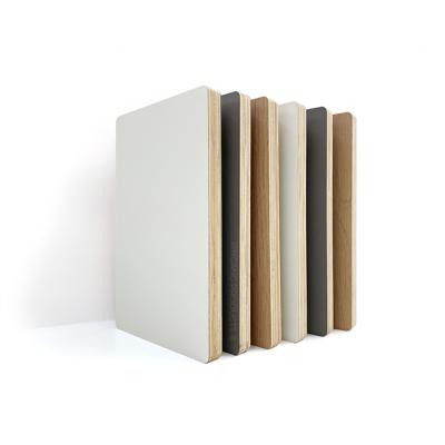 China Anti Corrosion Hardwood Plywood Panel Long Lifespan for Permanent Building Decoration for sale