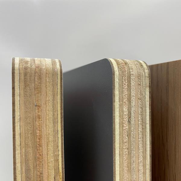 Quality HENF Bionic Ocean Plywood Sheet Eucalyptus Core Moisture Proof for Kitchen for sale