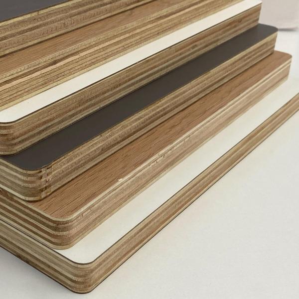 Quality Customized Sizes Bionic Marine Ocean Plywood Salt Resist Panel For Construction for sale