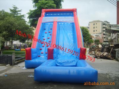 中国 膨脹可能な水スライドの整理は販売ジャンボ水スライドのために膨脹可能な水スライドを使用しました 販売のため