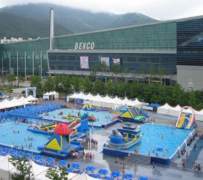 Cina le piscine gonfiabili giganti della pagina del metallo del PVC parcheggiano Lilytoys per la vacanza estiva in vendita