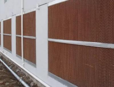 China Evaporative Cellulose Cooling Pad (7090.5090 green) for sale