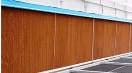 China Greenhouse/Poultry House Cooling System for sale
