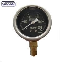 China Special Application Gauges WYYW for sale