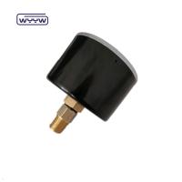 China OEM Supported Customizable Low Pressure Capsule Manometer CMH2O With Back Connection for sale