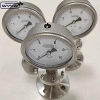 China Customized Diaphragm Metering Dosing Pump Oem For BSP G Thread Standard for sale