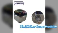 Mini 25mm Pressure Gauge for PCP Pneumatics