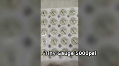 Balloon Inflation Device Medical 30ATM Pressure Gauge 40mm