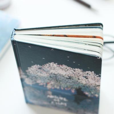 China Cheap bulk A4 A5 custom printing hardcover dairy notebook wholesale for sale