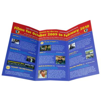 China High quality fashionable printing booklet/brochure/magazine printing customized for sale