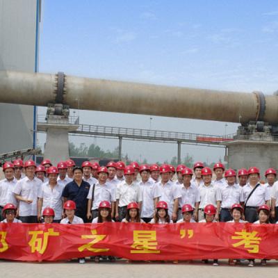 China Solid Structure Vertical Shaft Kiln High Production Efficiency Easy Repair for sale