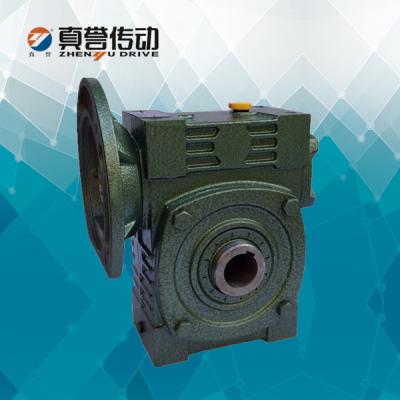 中国 ミニチュア変速機みみずギヤ速度減力剤/シャフトはギヤ減力剤を取付けました 販売のため