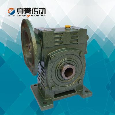 中国 ゴム製機械のための小さい鋳鉄ギヤ減少の変速機の速度減力剤 販売のため