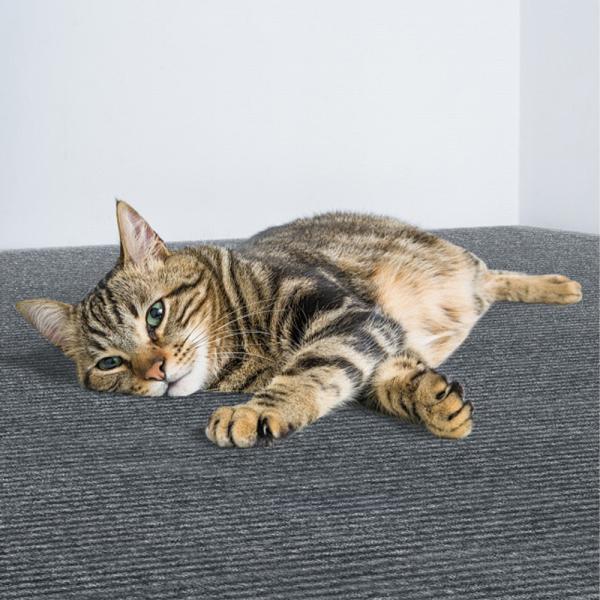 Quality 60*200cm Cat Scratch Furniture Protector Self Adhesive Cat Scratch Pad for sale