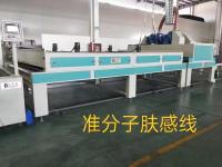 China Excimer UV Optical Surface Microstructure Treatment Equipment 1300mm Effective Width 5kW UV-LED for sale