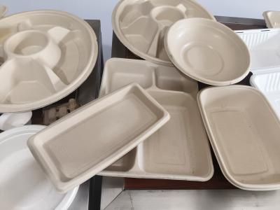 Cina  Sistema automatizzato di verniciatura a spruzzo per polpa stampata | Rivestimento interno di precisione in vendita