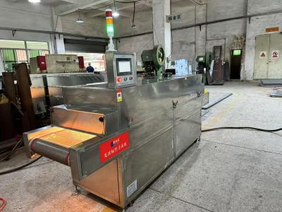 China Sweet Potato Slice Sterilization Machine Efficient Microbial Control System for sale