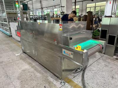 China Sweet Potato Slice Sterilization Machine Efficient Microbial Control System for sale