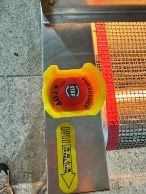 China Sweet Potato Slice Sterilization Machine Efficient Microbial Control System for sale