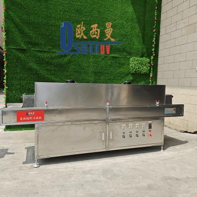 China Modular Conveyor-Mounted UV-C Sterilization Module for Transparent Food Packaging Lines for sale