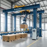 China Heavy Duty Gantry Robot for Panel and Pulp Molding Handling 300 kg Payload 6000mm Travel for sale