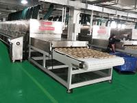 China 1170mm Width 85KW Industrial Microwave Dehydrator for Pulp Molding with 1-10m/min Adjustable Speed for sale