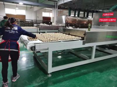 China Innovative Microwave Vacuum Drying Equipment with Wide Temperature Range for sale